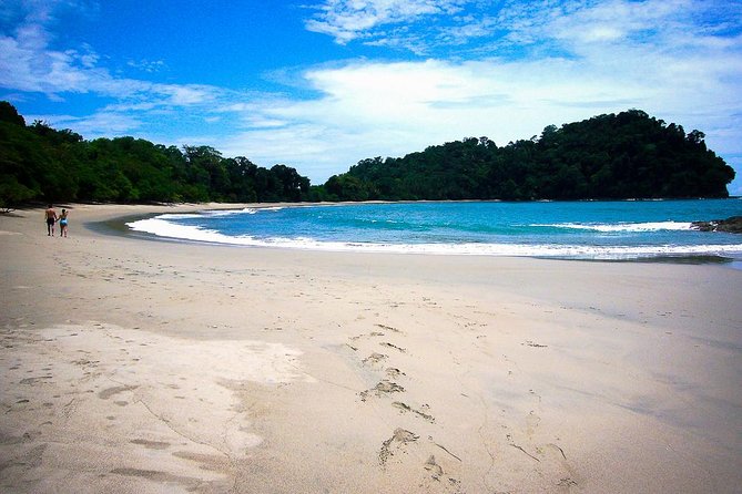Manuel Antonio Park Nature Guided Tour with a Nature Specialist - Final Thoughts: Is This Tour Worth It?