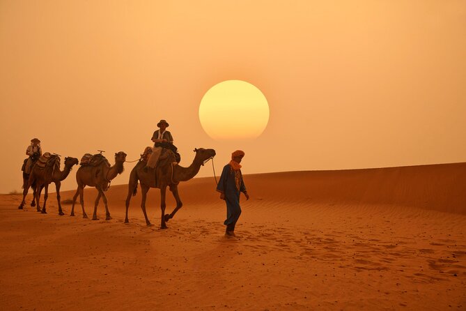 Marrakech to Merzouga Desert 3-Day via the High Atlas Mountains - The Sum Up