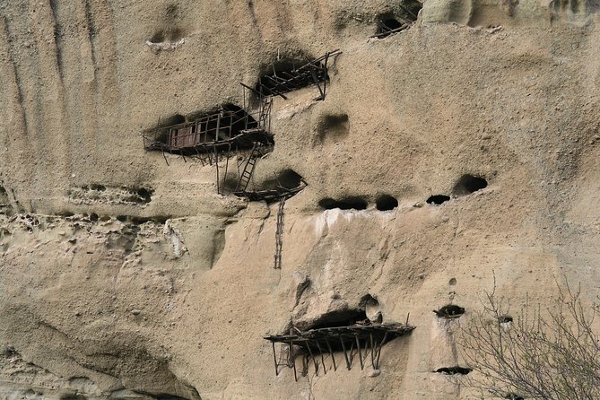 Meteora All Monasteries Tour with Photo Stops - On the Quality of the Guides and Overall Experience