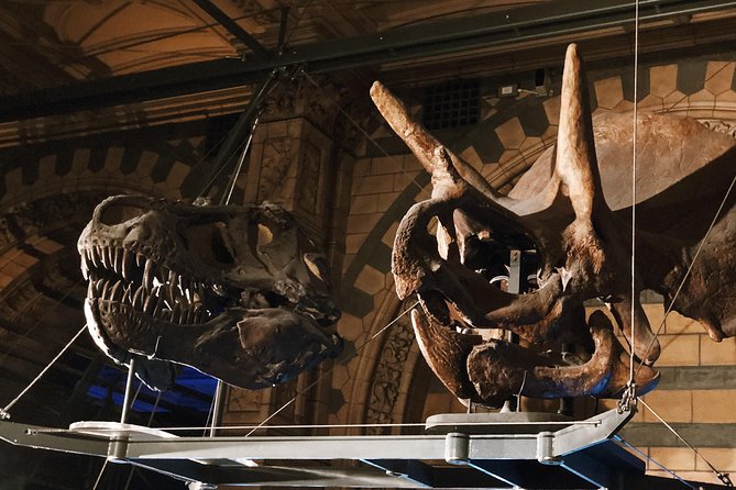 Natural History Museum London - Exclusive Guided Museum Tour - Who Will Love This Tour?
