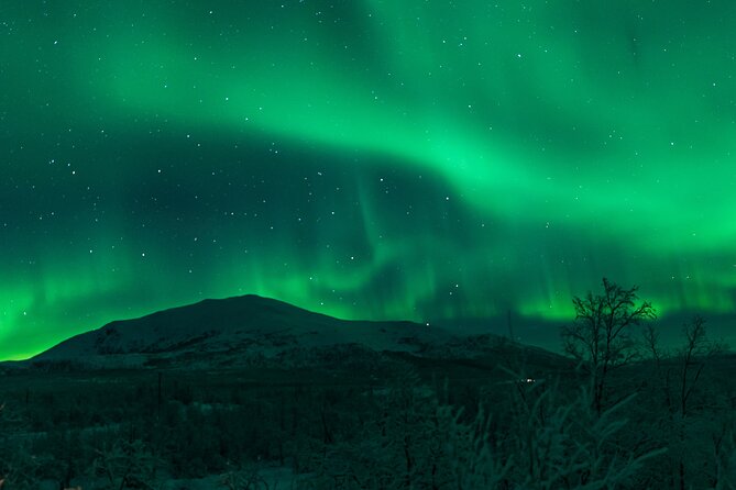 Northern Lights Tour from Kiruna to Abisko with Dinner - FAQ