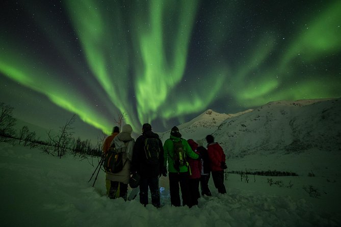 Northern Lights Tour from Tromsø - FAQ