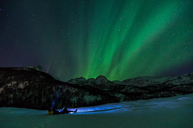 Northern Lights tour with Alta Adventure - The Human Element: Expert Guides