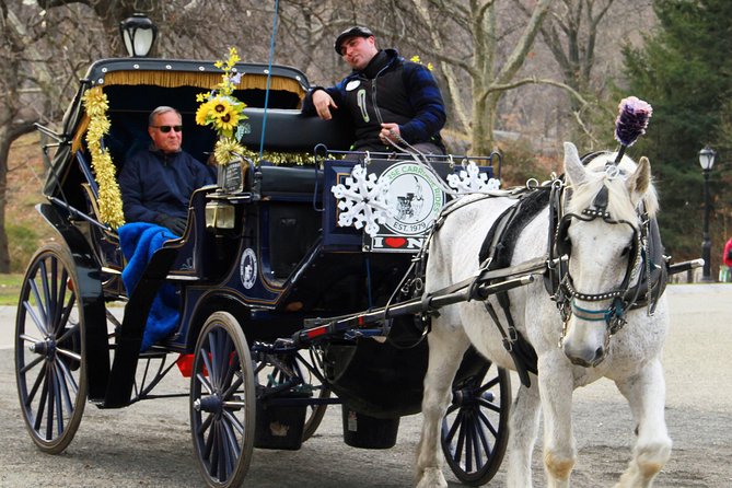 Official NYC Horse Carriage Rides in Central Park since 1979 - FAQ