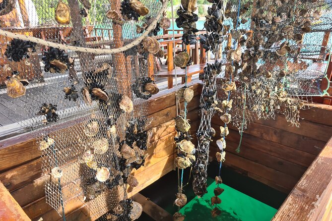 Oysters & Wine Tour From Dubrovnik (Small Group) - FAQ: Practical Questions about the Oysters & Wine Tour