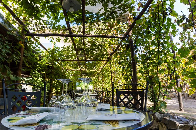 Pompeii Vineyard Escape: Private Wine Tasting & Lunch - The Sum Up