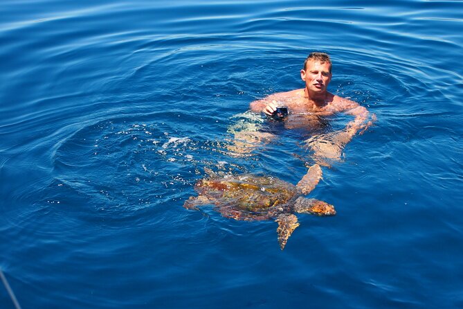 Private Sailing - dolphin Experience from Estepona - drink & food - Who Should Book This Tour?