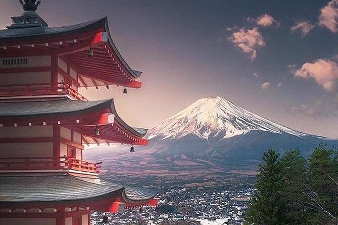 Private Sightseeing to Mt. Fuji and Hakone GREEN NUMBER PLATES - FAQ