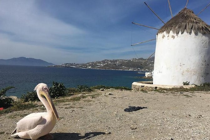 Private Tour: Mykonos Island in Half a Day - FAQ