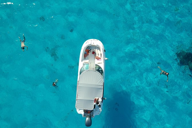 Reef Discovery Half Day Group Signature Tour - Frequently Asked Questions (FAQs)