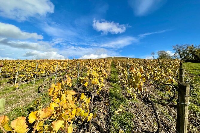 Reims: Small-Group Champagne Tour with Champagne Tastings and Lunch - Final Thoughts
