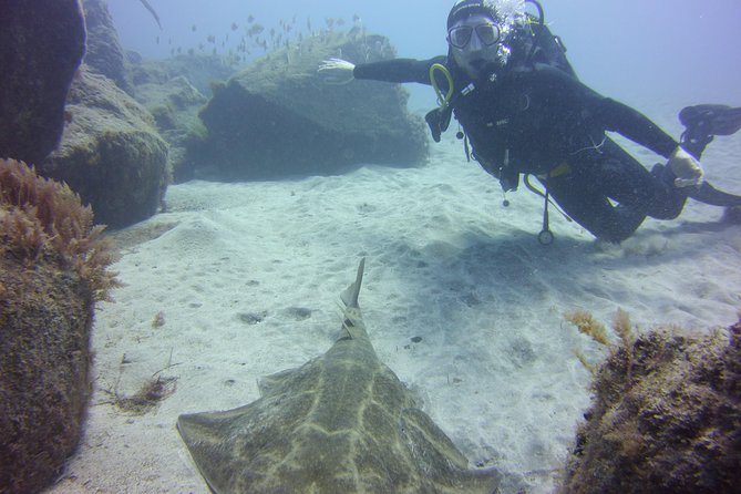 Scuba Diving Beginner's Session in Costa Adeje - Final Thoughts
