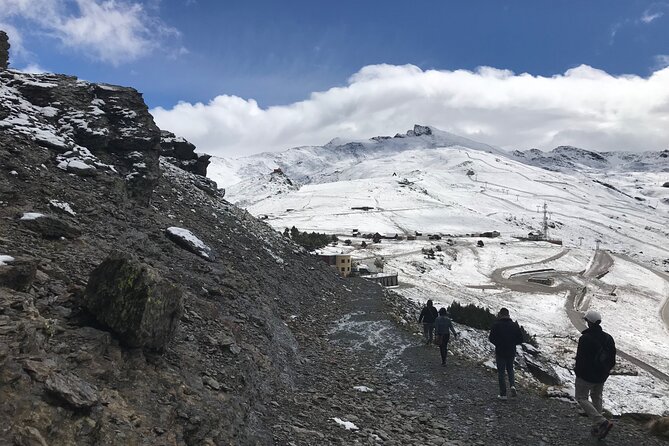 Sierra Nevada Safari 7 hours tour from Granada - Who Will Love This Tour?