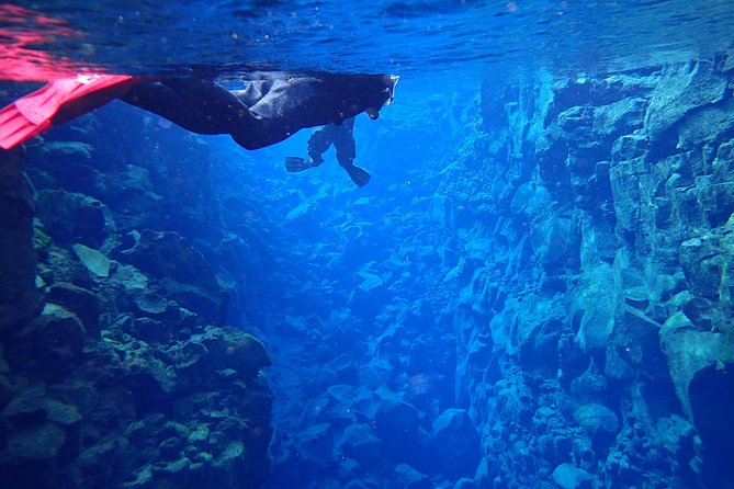 Silfra Fissure Snorkeling From Reykjavík - Free Underwater Photos - The Practical Details