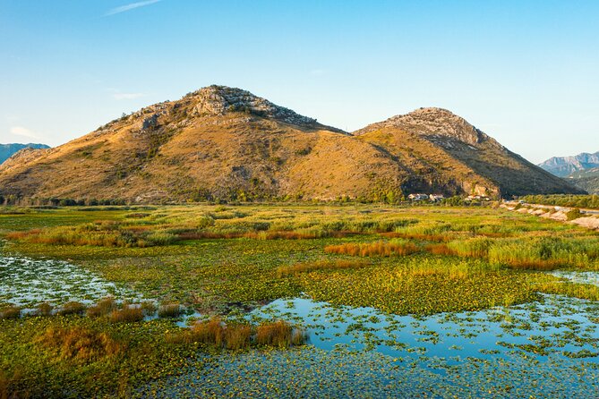 Skadar Lake: Guided Sightseeing Boat Tour with Refreshments - Return to Virpazar and Final Impressions