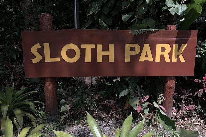Sloth Watching Tour - Final Thoughts: Is This Tour Right for You?