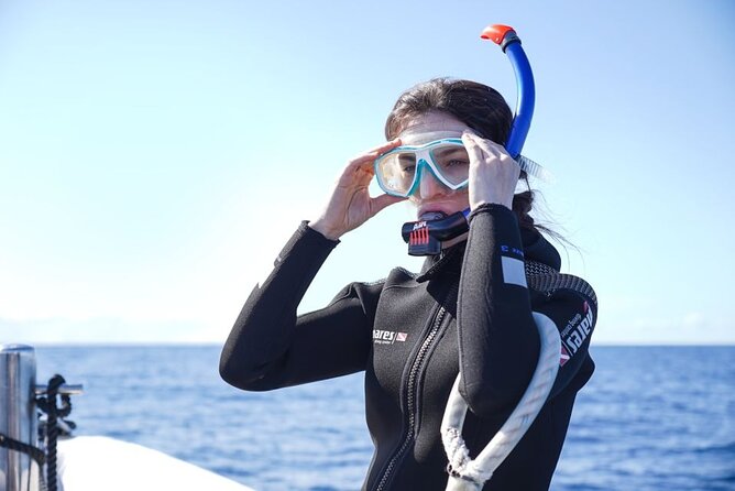 Snorkelling Trip at Ponta de São Lourenço Protected Area - FAQs
