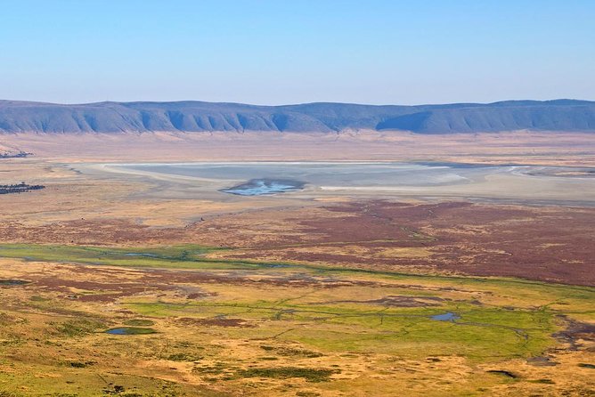 Tanzania Classic - 7 Days - Final Day: Tarangire and Back to Arusha
