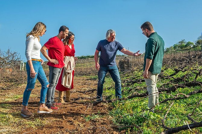 Tenerife Bodegas Monje Winery Tour with Wine and Cheese Tasting - Final Thoughts
