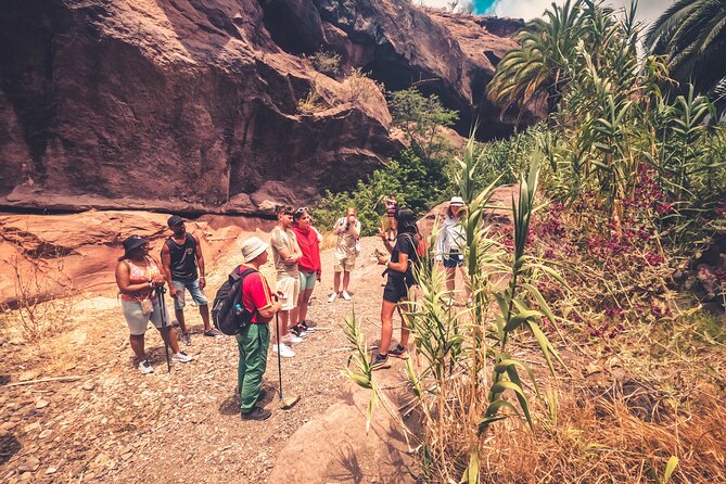 The Red Canyon Tour - Small Group Trip with Local Food Tasting - Honing in on Guest Feedback