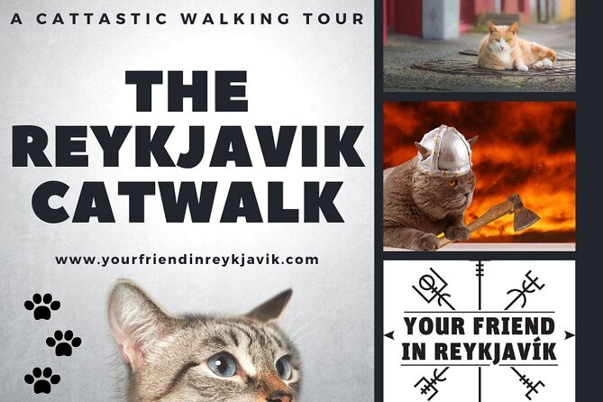 The Reykjavik Cat Walking Tour - FAQ