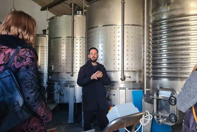 TOP WINE TOUR- Vineyard & cellar visit + 6 top wines + tapas - Reviews & Feedback from Participants