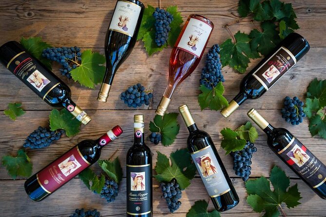 Tour and Tasting at an Organic Winery in the Heart of Chianti Classico Area - Overall Atmosphere and Authenticity