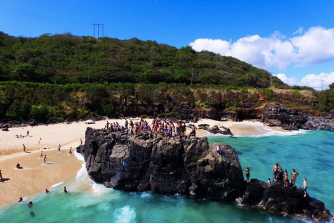 Tour of North Shore & Waimea Waterfall - Fresh Fruits and Tranquil Beaches
