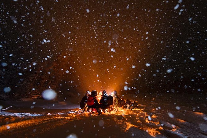 Tromsø: Aurora Hunt with Citizen Science with Wandering Owl - FAQ