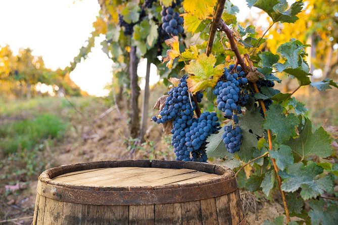 Vintage Fiat 500 Tour from Siena: Tuscan Hills and Winery Lunch - FAQs