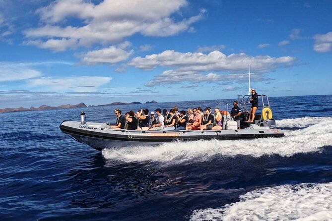 Whale and Dolphin Watching Tour from Funchal - Who Will Love This Tour?