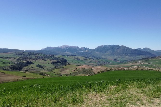 White Villages and Ronda Day Trip from Seville - FAQ: Your Practical Questions Answered