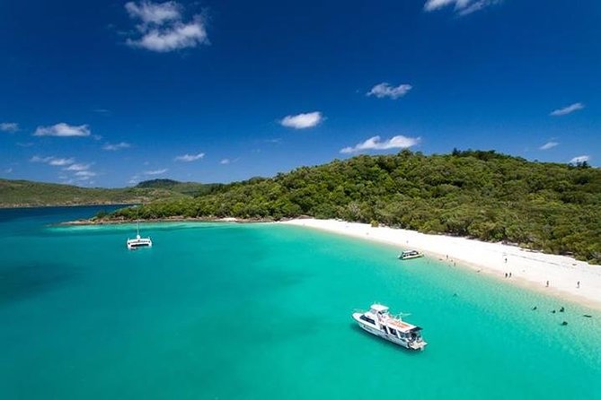 Whitehaven Beach and Hill Inlet Day Tour | Aussie Beach BBQ | Family Friendly - Final Thoughts