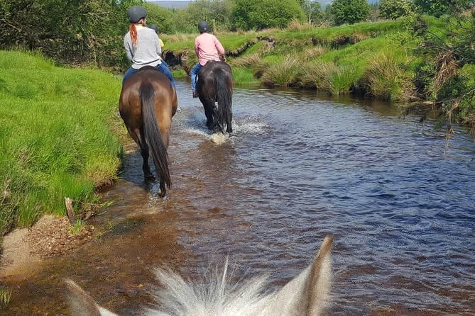 Wicklow Mountains Horse Trekking - Practical Tips for Travelers