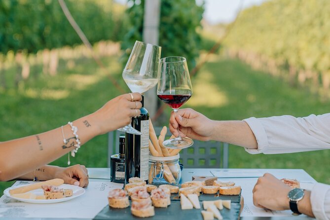 Wine and Food Tasting in the Vineyards in Lazise - The Sum Up: Who Should Consider This Experience?