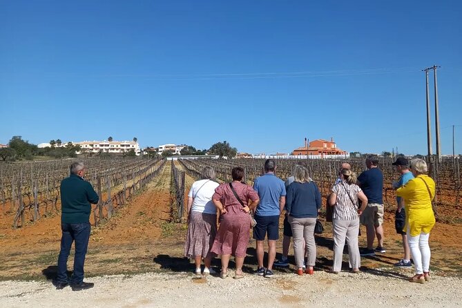 Wine Lovers: Winery Tour w/ Tasting & Tapas (Albufeira/Vilamoura) - What Travelers Say: Authentic Voices