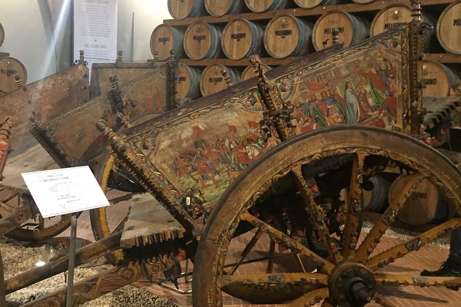 Winery tasting in Marsala and Mothia lagoon tour - The Sum Up