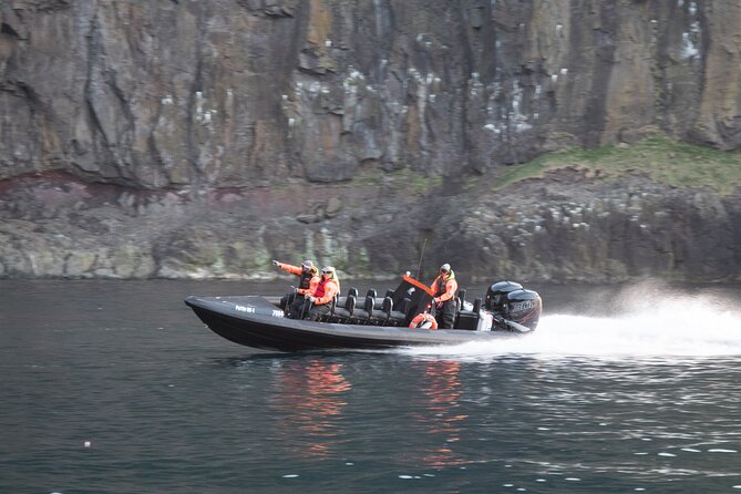 1 Hour Iceland Nature and Wildlife RIB Small Group Guided Safari - FAQ