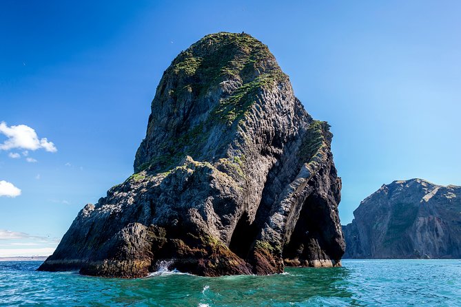 1-Hour Small Group Sightseeing Boat Tour in Vestmannaeyjar - FAQs