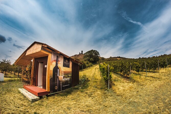 A delightful wine tasting in the scenic countryside with lunch - Who Will Love This Tour?