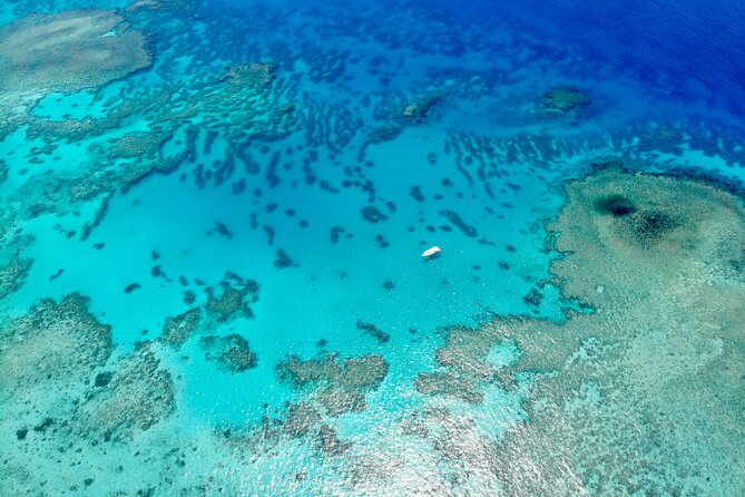 ABC Snorkel Charters Port Douglas Snorkelling max 12 passengers - FAQ
