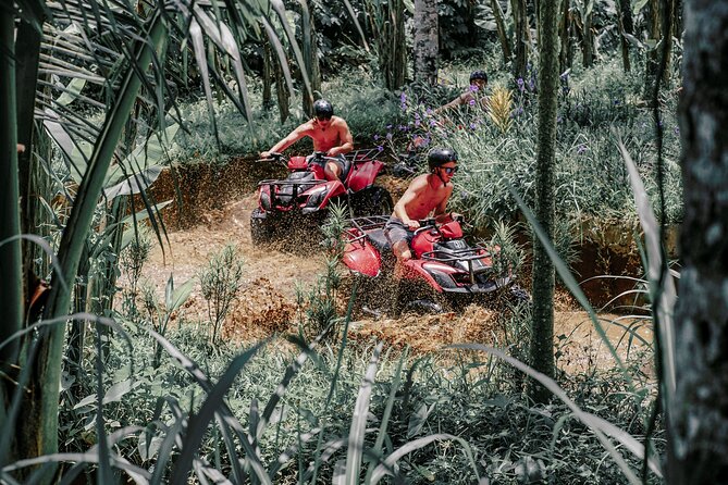 ATV Quad Bike Bali with Waterfall Gorilla Cave and Lunch - The Sum Up