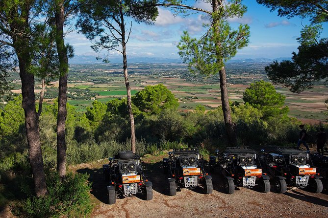Cala Millor: Mega buggy tours also in Sa Coma - Final thoughts