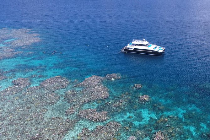 Calypso Outer Great Barrier Reef Cruise from Port Douglas - Who Will Enjoy This Tour?