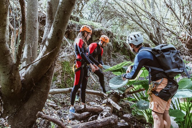 Canyoning with Waterfalls in the Rainforest - Small Groups - Final Thoughts