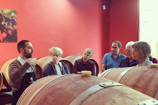 Cesani Wine Experience - FAQs
