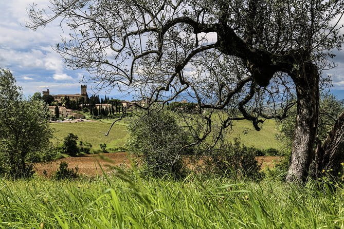 Cinque Terre Premium day trip with local guide from Florence - FAQ