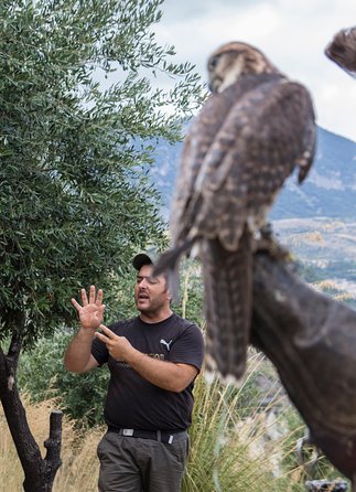 CIVITA EXPERIENCE Borgo Gole Mountain and ... RAPACI del Pollino - Who Will Benefit Most from This Tour?
