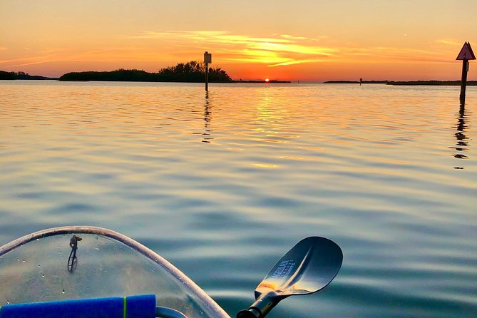 Clear Kayak Tour of Shell Key Preserve and Tampa Bay Area - FAQ