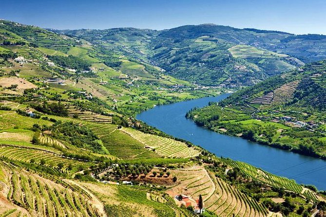 Complete Douro Valley Wine Tour with Lunch, Wine Tastings and River Cruise - FAQ
